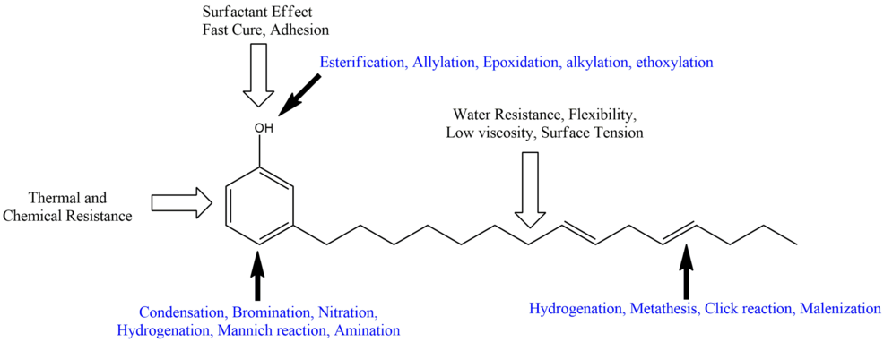 Cardanol and Its Derivatives: Innovations in Waterborne Coating ...