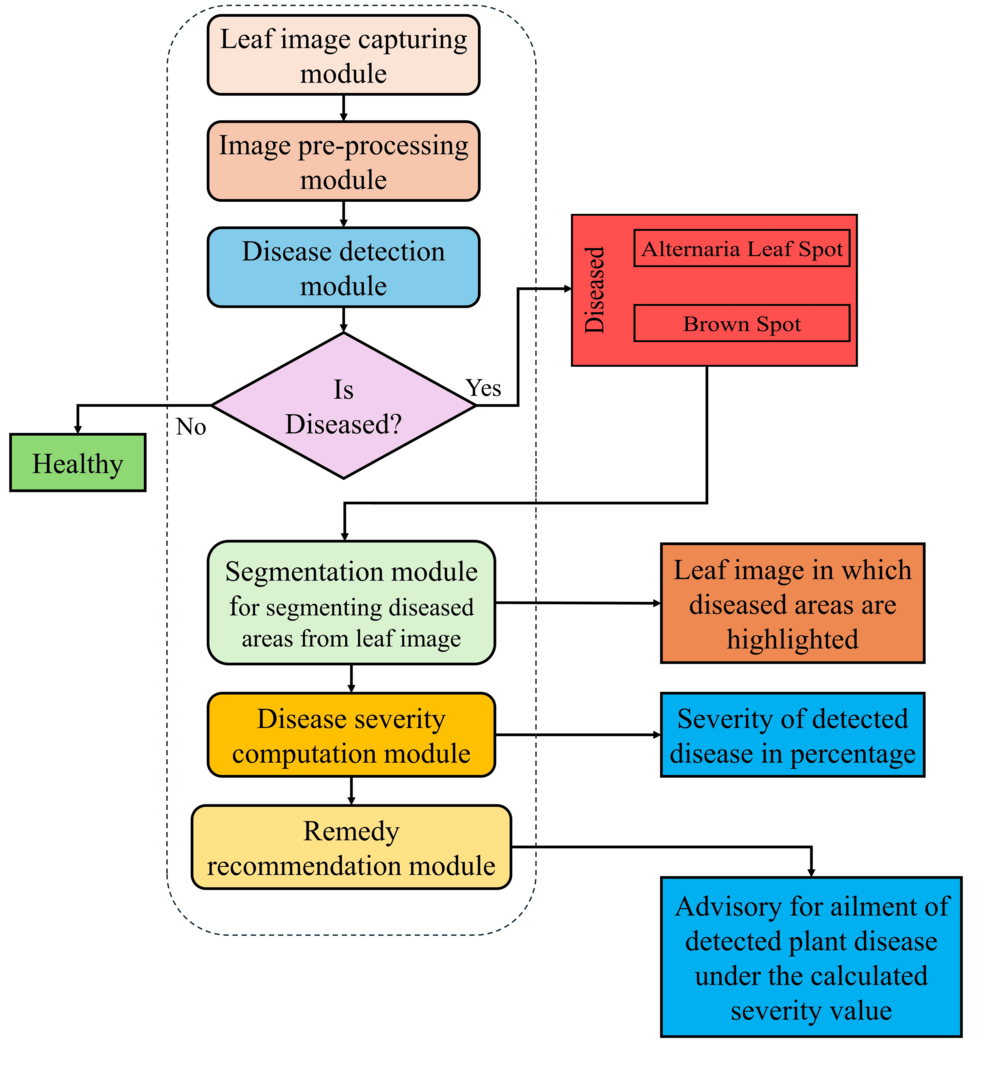 AIDoctor-Plant: Lightweight and Bilingual Plant Disease Diagnosis and ...