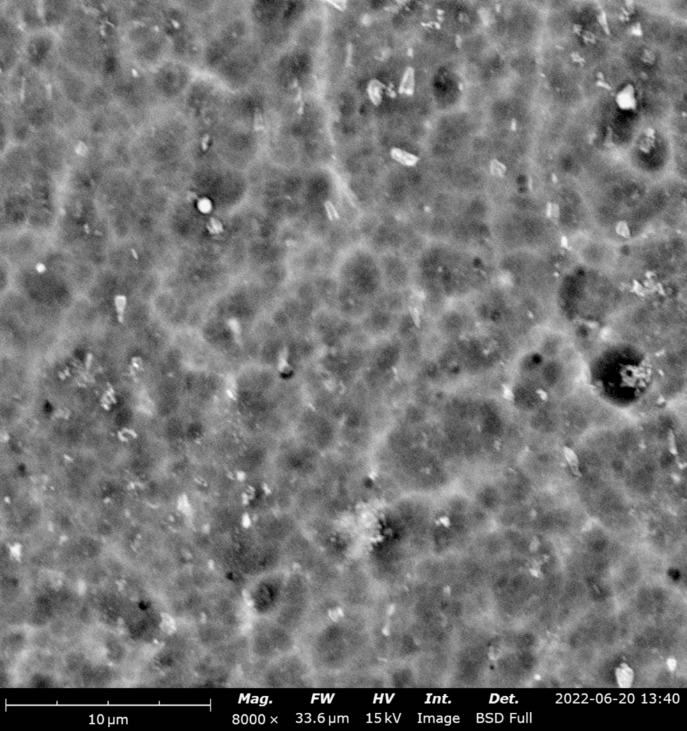 Corrosion and Adhesion Performance of Ferric Ion-Based Hybrid Nano ...