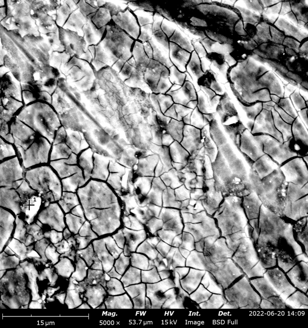 Corrosion and Adhesion Performance of Ferric Ion-Based Hybrid Nano ...
