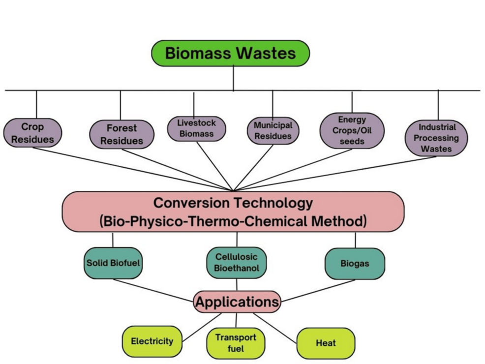 A Review of Biomass Valorization for Bioenergy and Rural Electricity ...