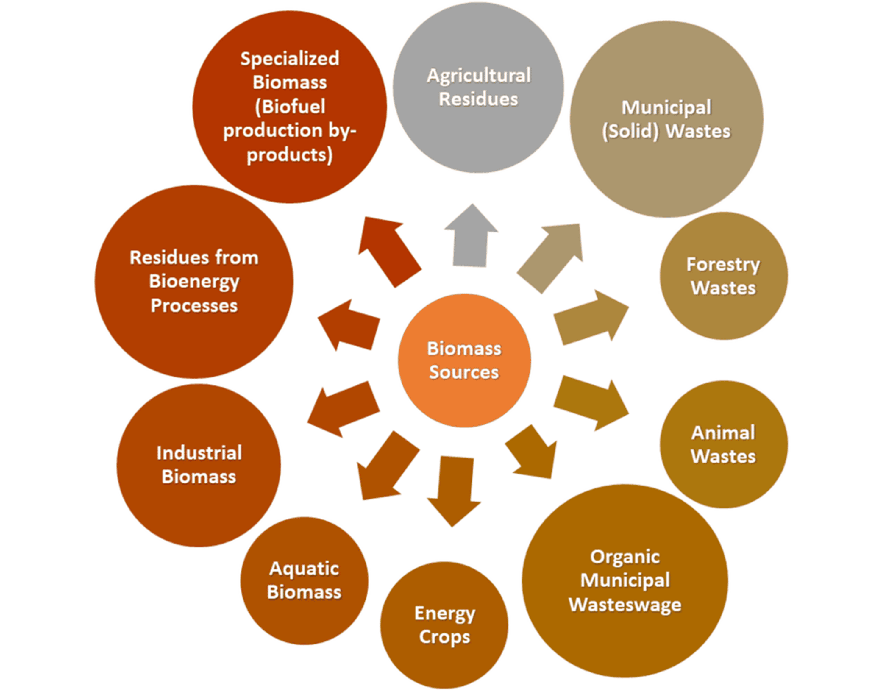 A Review of Biomass Valorization for Bioenergy and Rural Electricity ...
