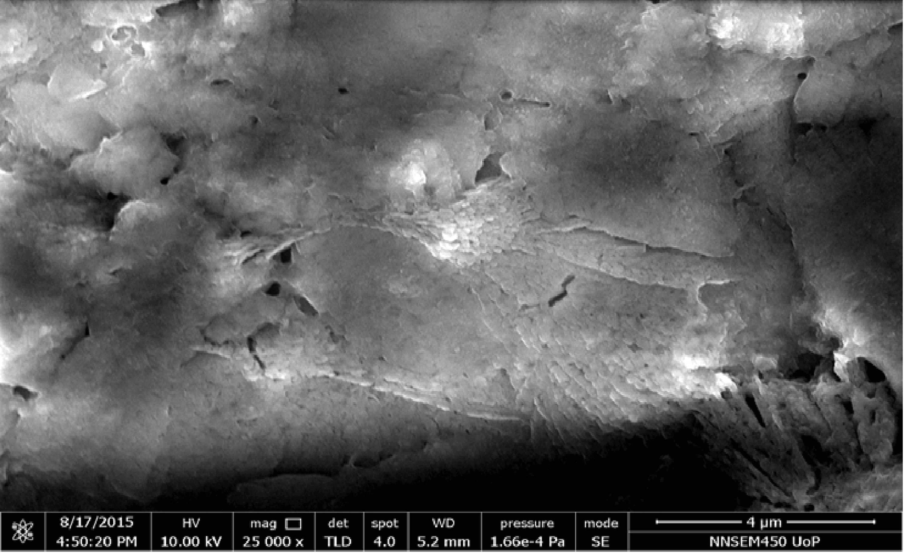Poly(imide-melamide-formaldehyde-phenol) Copolymer for Heat Shield Coatings