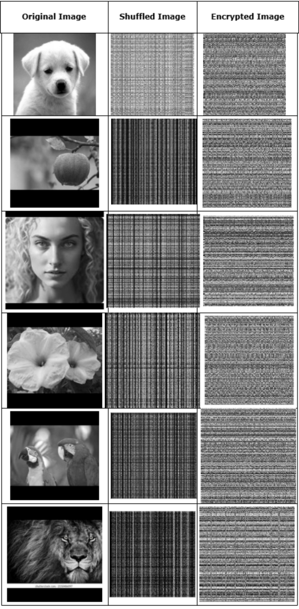 Encryption of Image Using Linear Feedback Shift Register and Pixel Shuffling