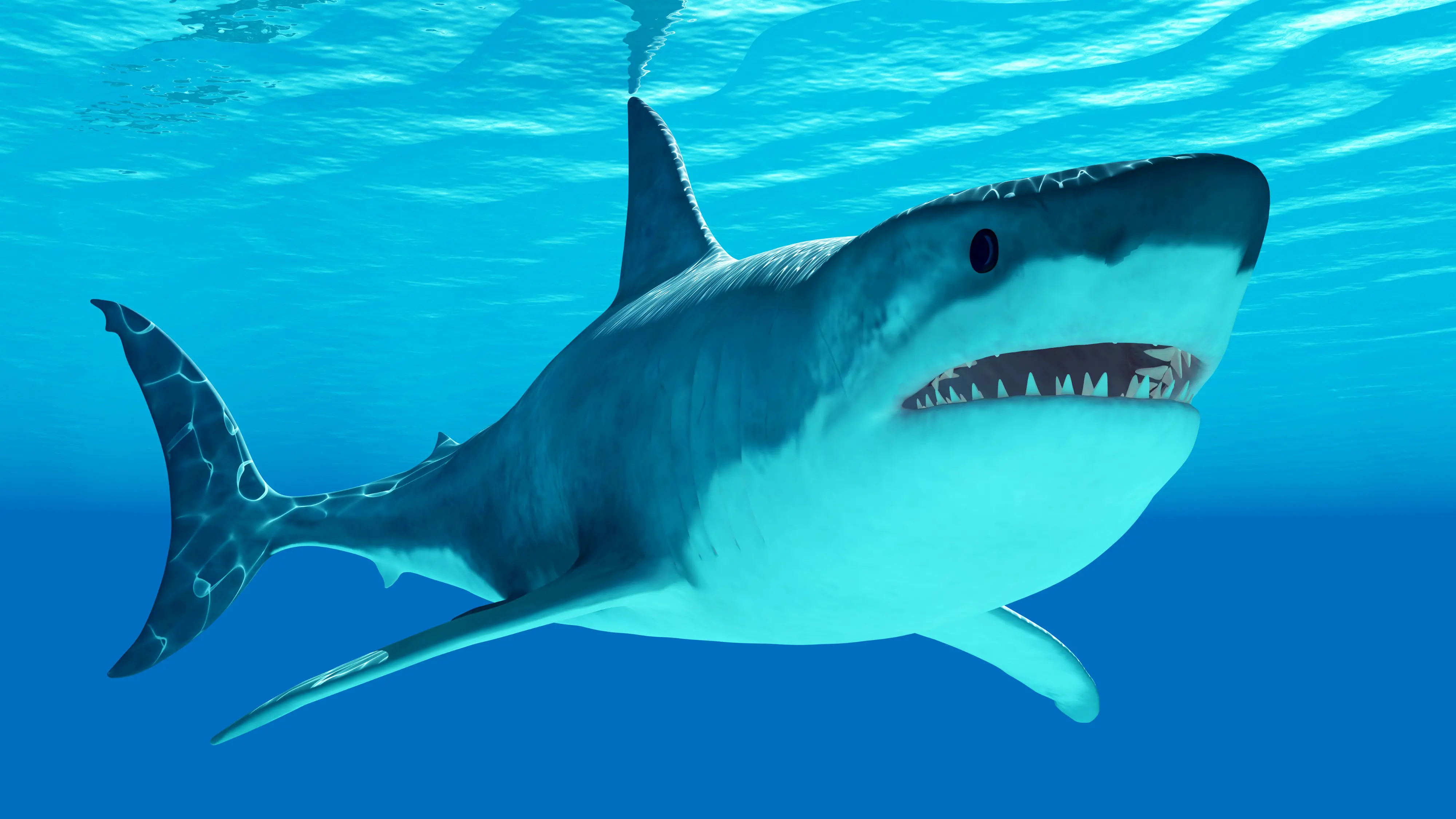 How to Avoid Predatory Journals, Exploitative Conferences, and Paper